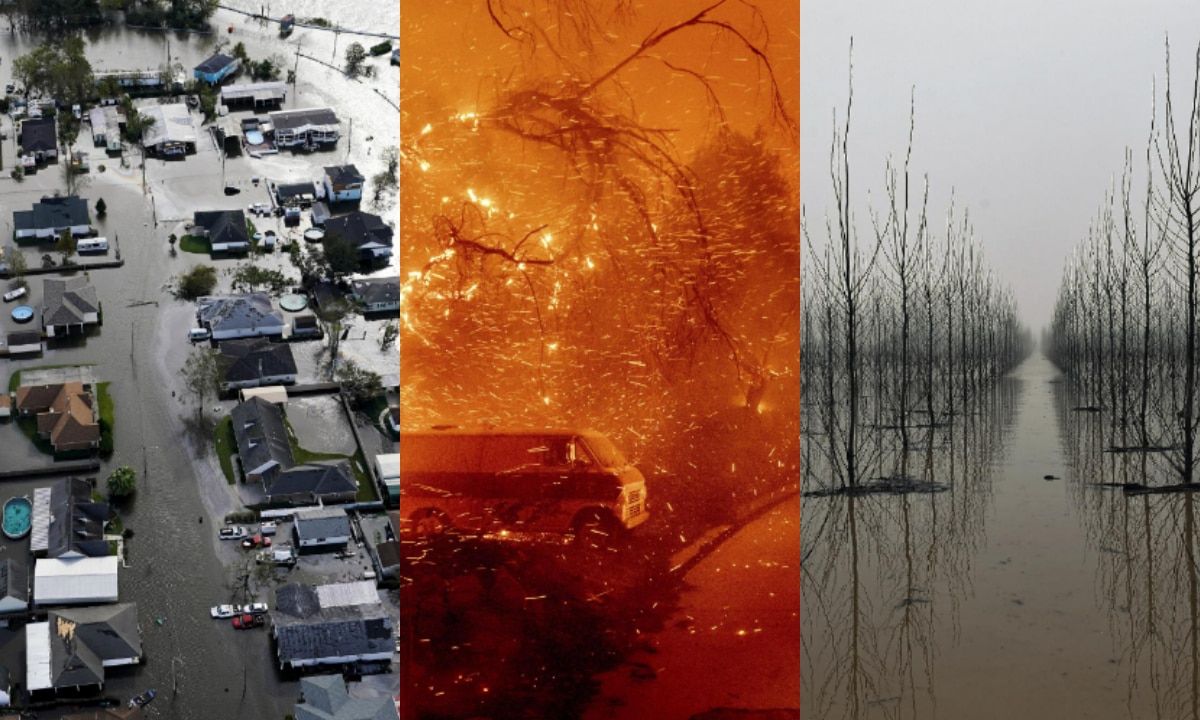 7 Photos That Define Climate Change Is Real