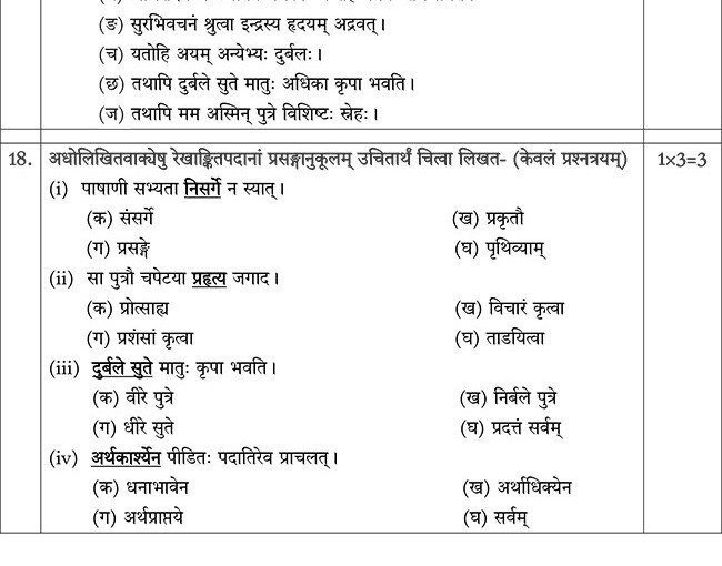 CBSE Class 10th Sanskrit Sample Paper 2023-24. See PHOTOS HERE