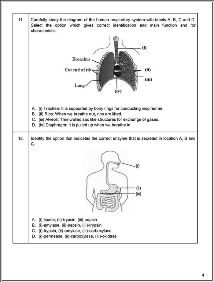 CBSE Class 10th Sample Question Paper (TERM – I) 2021-22