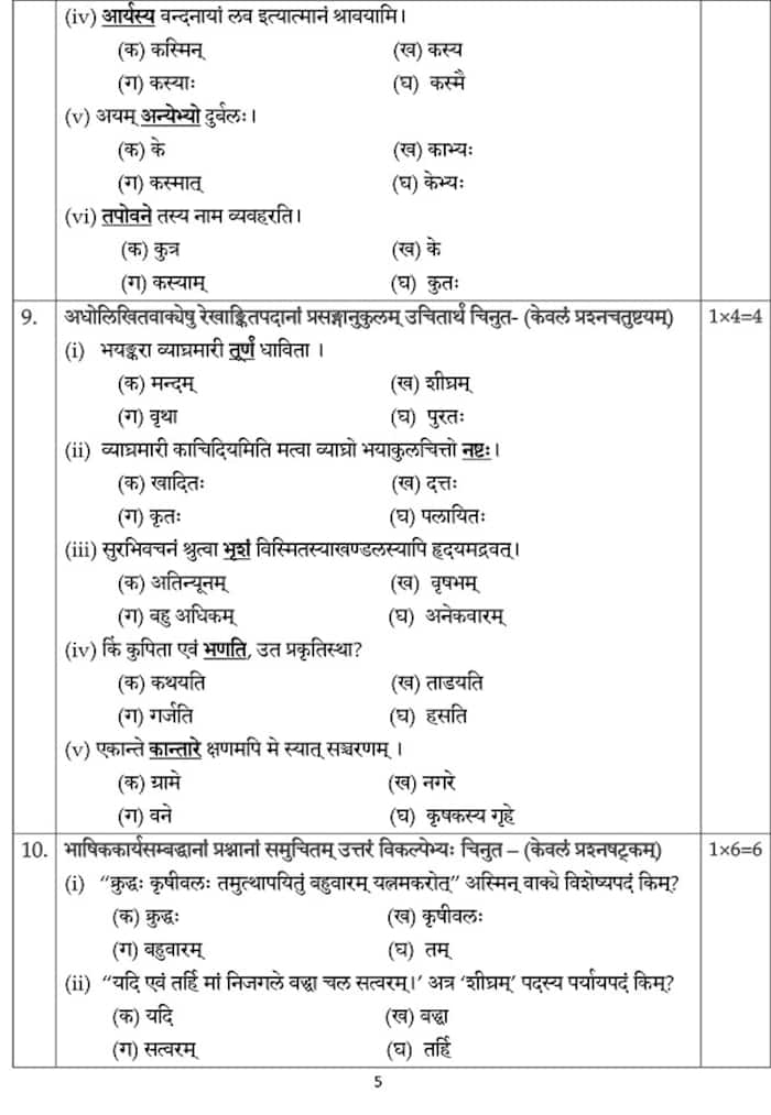 CBSE Class 10th Sanskrit Sample Question Paper (TERM – I) 2021-22