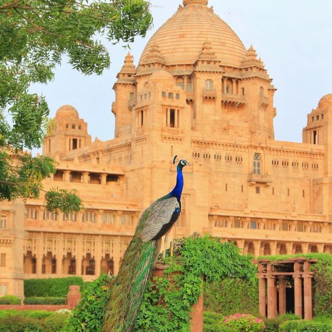 Top 10 Must Visit Royal Palaces In India