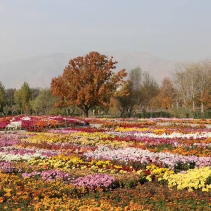 7 Most Surreal Places In India That Don’t Look Real