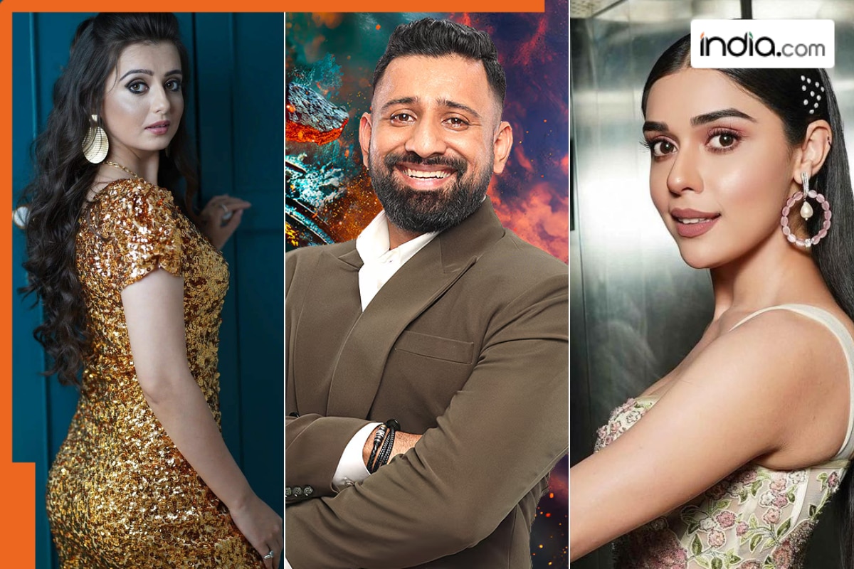 Bigg Boss 18: Rajat Dalal, Vivian Dsena to Chahat Pandey, know ...
