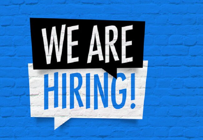 Job Alert For Freshers: Banks Plan To Increase Campus Hiring In 2023 | Check Full List