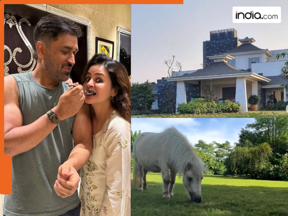MS Dhoni built this farmhouse in 2017