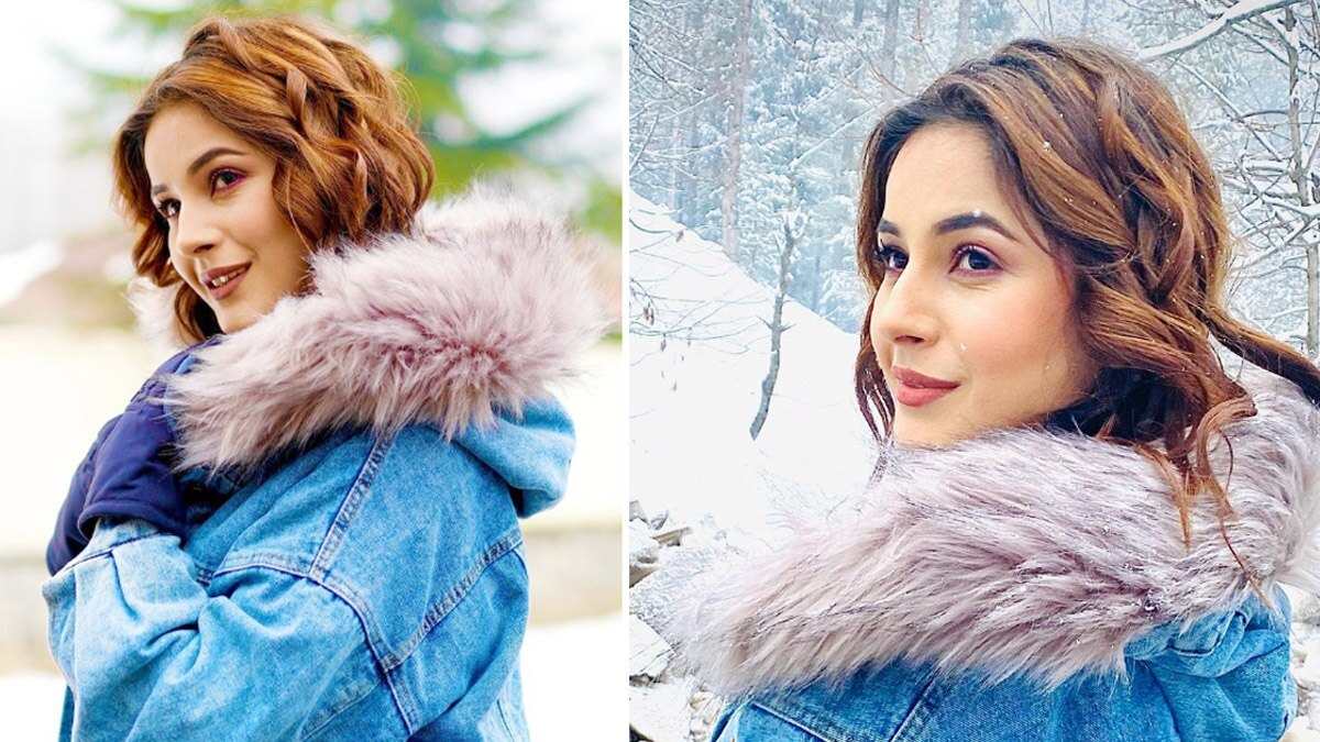 Shehnaaz Gill poses for the camera in snow