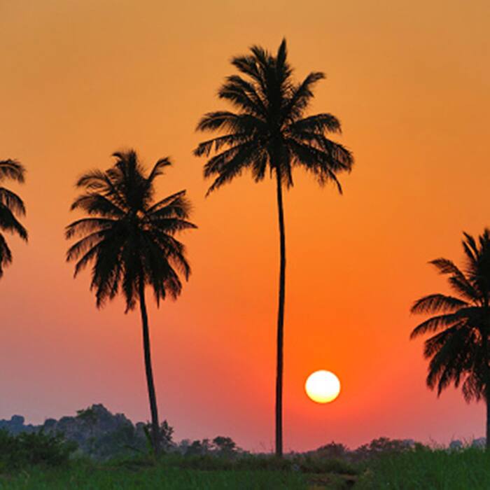 Photo Album of the Day: Check out the beautiful pics from India taken ...
