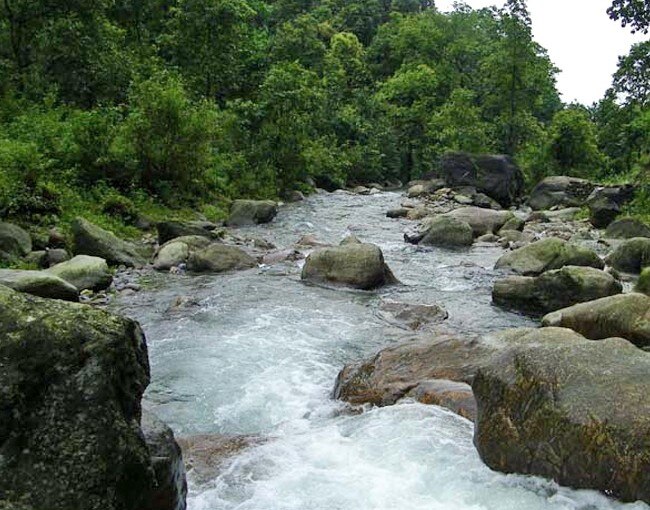 A beautiful picture of Dooars in West Bengal