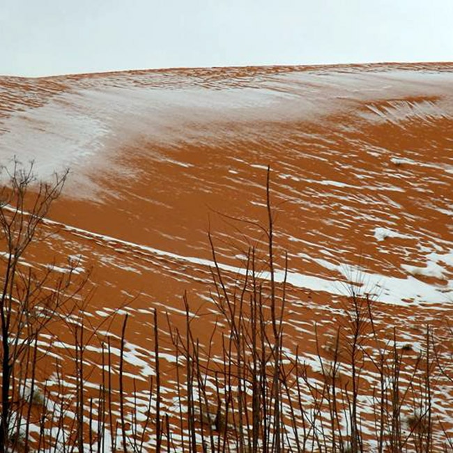 A stunning picture of Sahara desert covered with snow