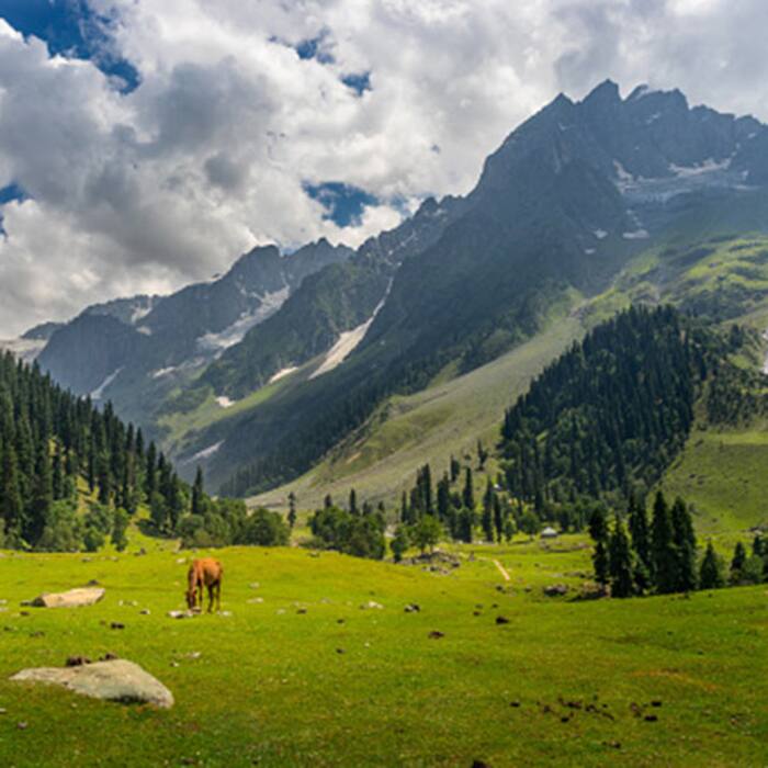 8 pictures which prove that Kashmir is a paradise on earth