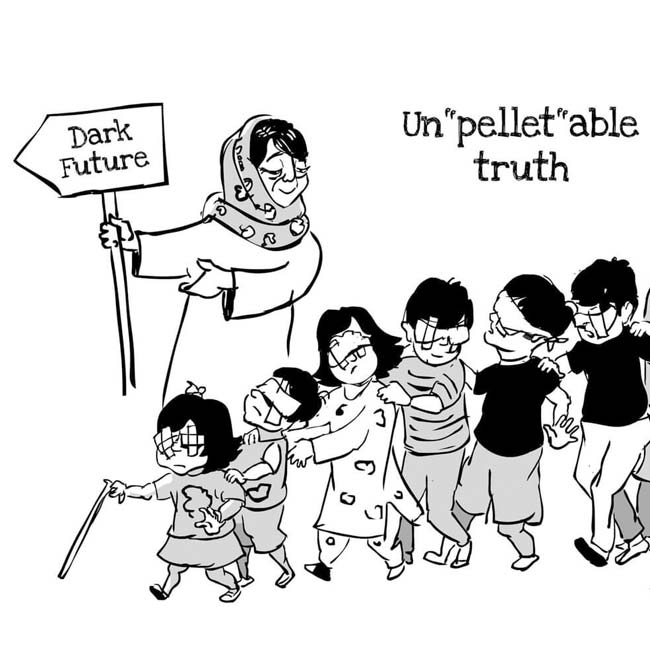 Cartoonists from Kashmir expressing their side of the story