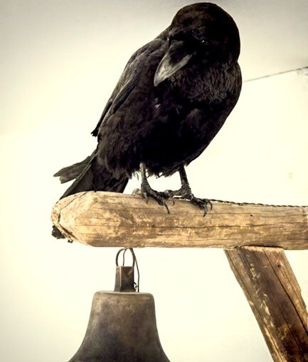 A crow as a symbol related to Sorcery at Museum of Icelandic Sorcery ...