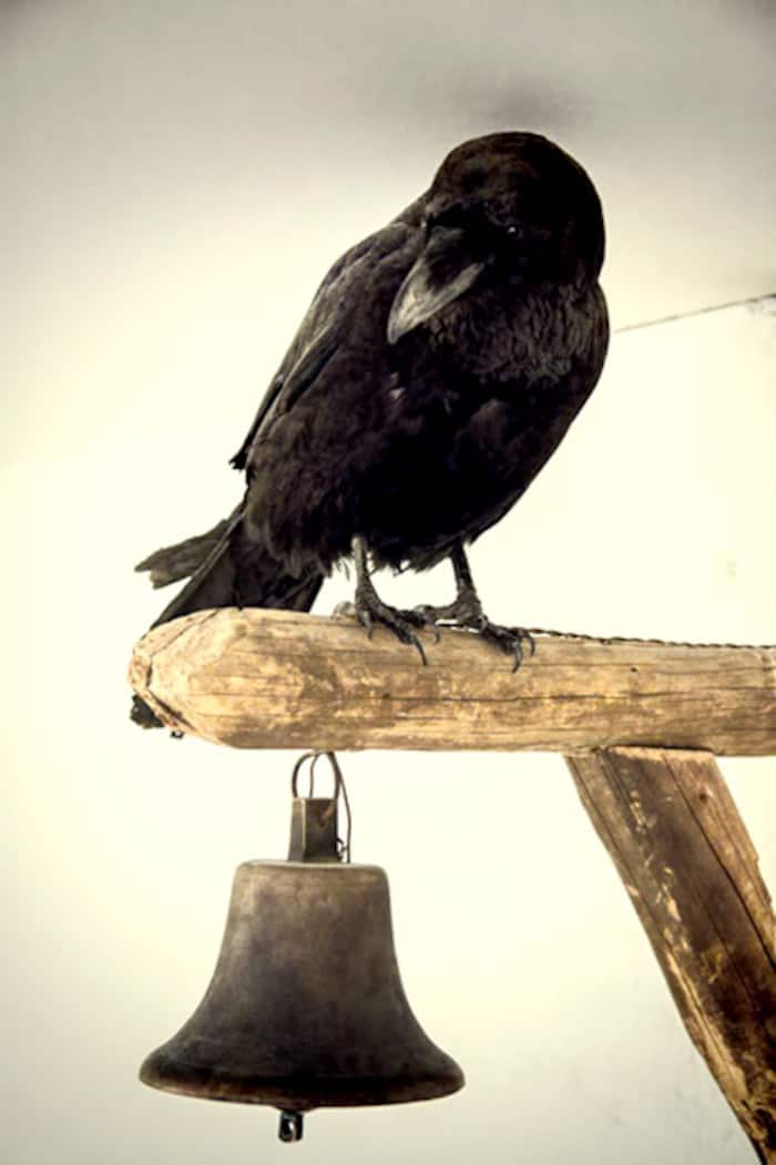 Sneak peek into a scary Museum of Witchcraft in Iceland!