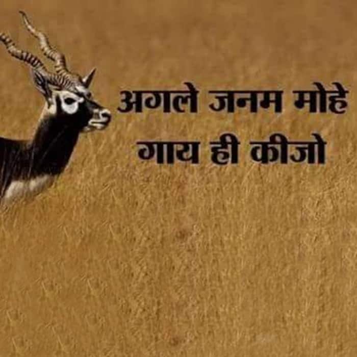 Salman Khan’s meme on his acquittal from Black Buck Case