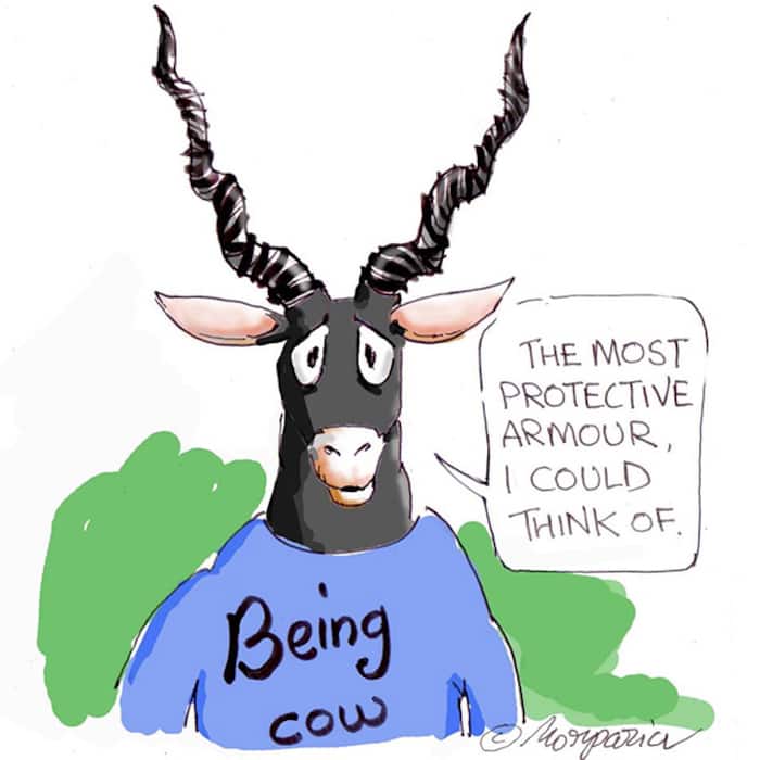 Salman Khan’s meme on his acquittal from Black Buck Case