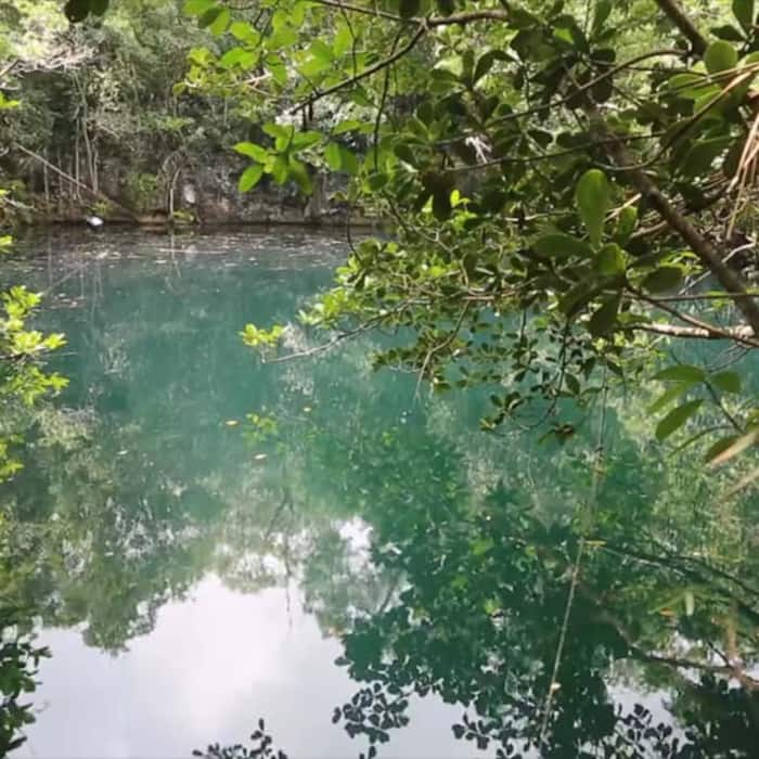 An amazing click of underwater river called Cenote Angelita