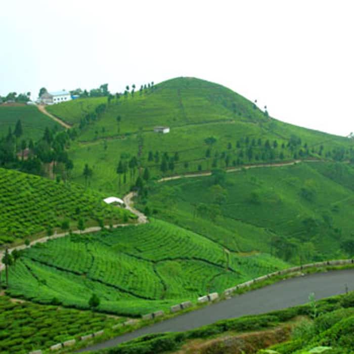 Check out 7 best places to visit in the month of May in India