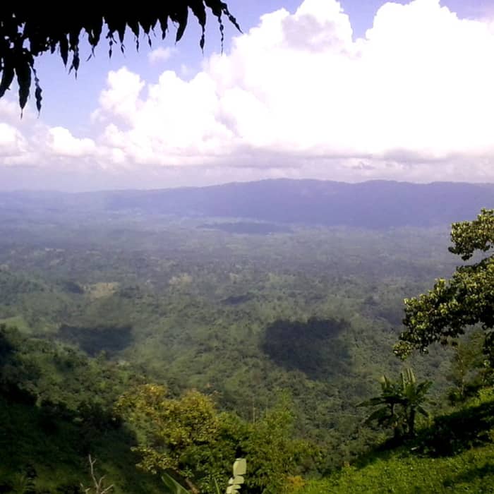 A picture of Jampui Hills in Tripura