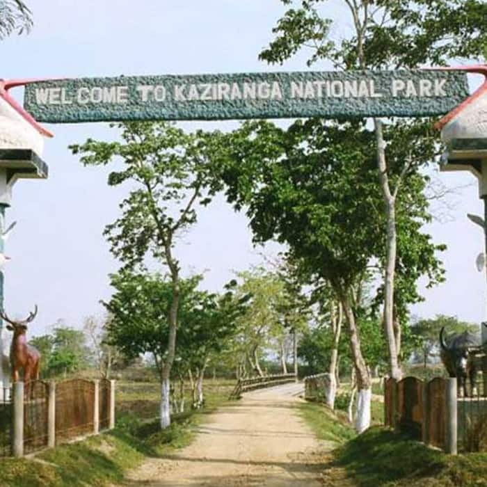 Assam: Visit these alluring places to get the perfect vibes of North East