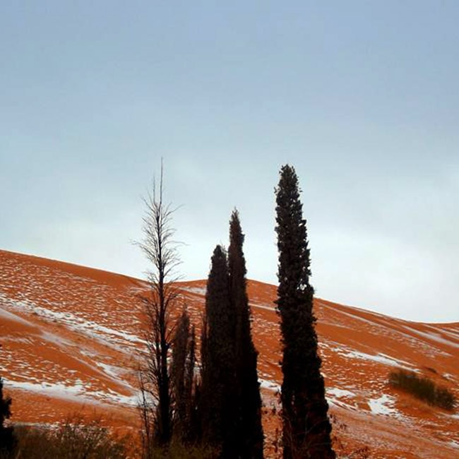 A stunning picture of Sahara desert covered with snow