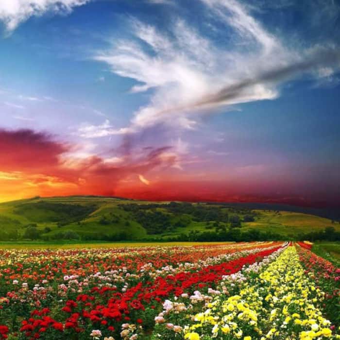 Check out 7 best places to visit in the month of July in India