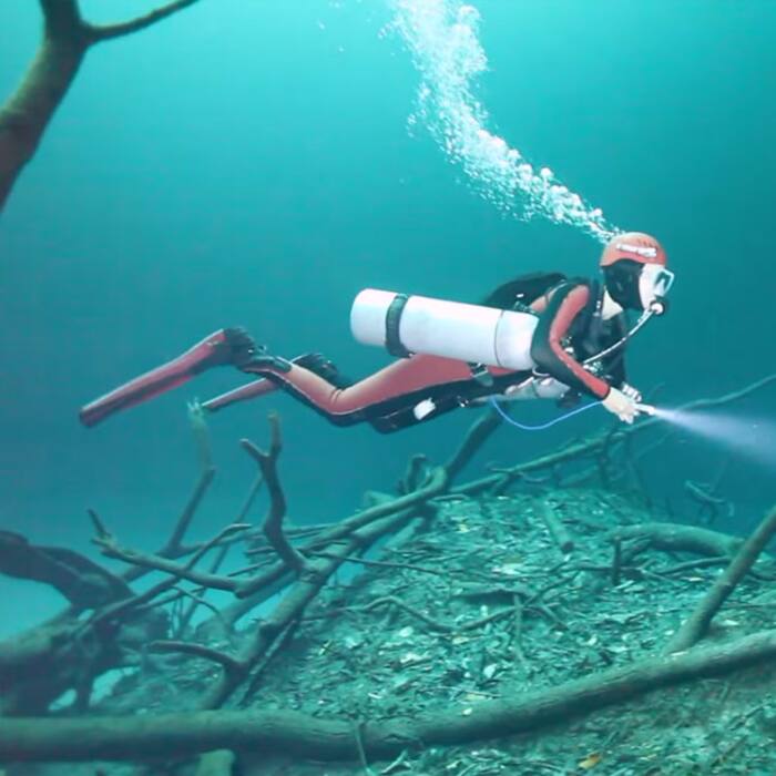Pics of underwater river ‘Cenote Angelita’ near Yucatan Peninsula in ...