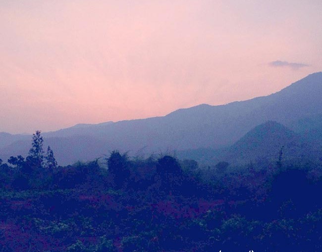 A view of Araku Valley in Andhra Pradesh, India