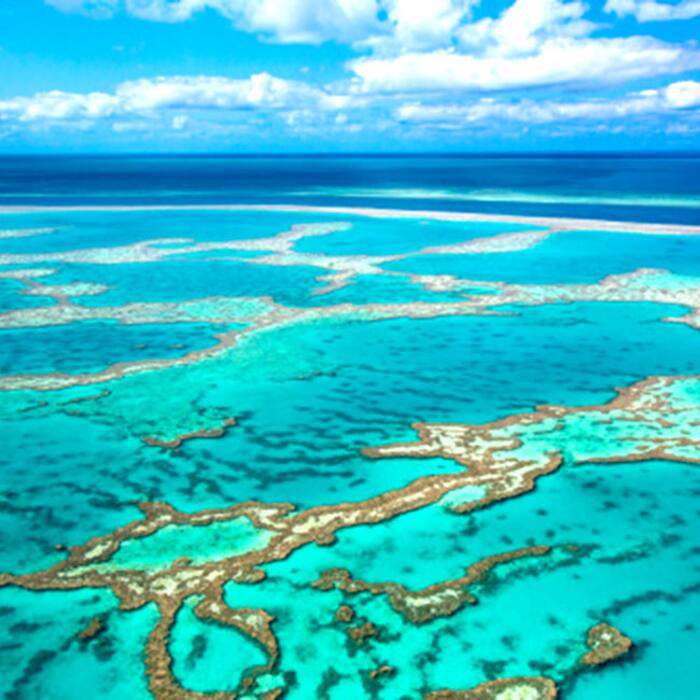 Great Barrier Reef pics: Check out in pictures how climate change is ...