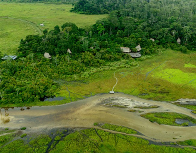 A view of The Congo Basin