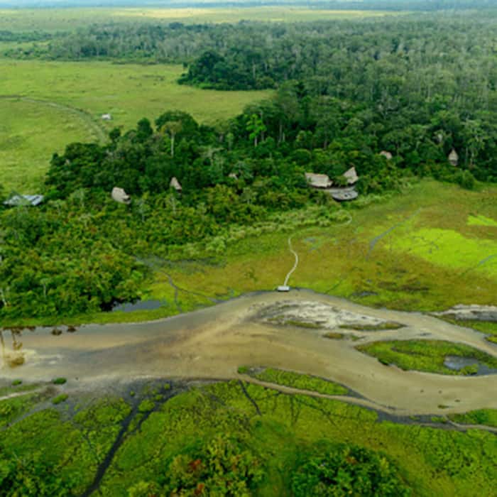 A view of The Congo Basin