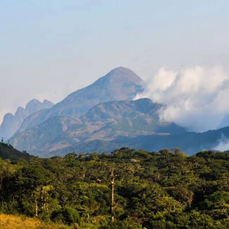 8 Places To Explore In Thiruvananthapuram With Family