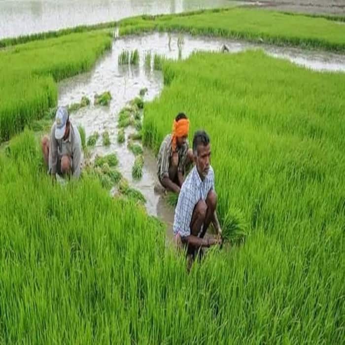 PM Kisan Samman Nidhi Yojana BIG Update: 12th Installment Expected to ...