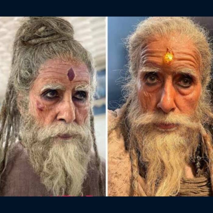 Allu Arjun in Puspha 2 to Big B in Kalki 2898 AD: 5 actors who SHOCKED ...