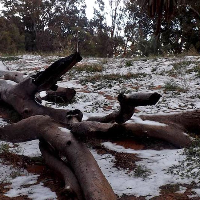 A stunning picture of Sahara desert covered with snow
