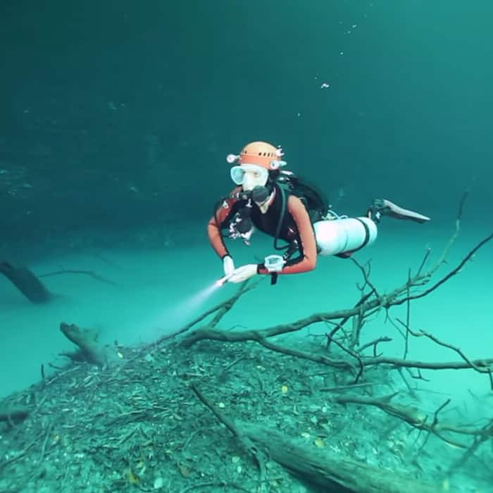 Pics of underwater river ‘Cenote Angelita’ near Yucatan Peninsula in ...