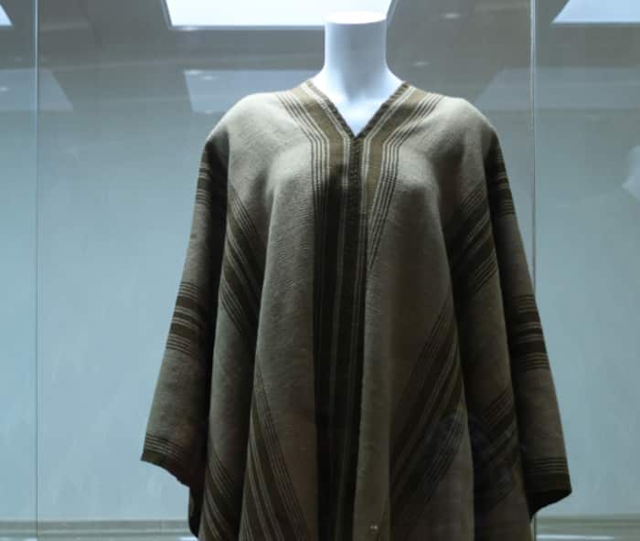 From Argentina's Poncho to India's Ashtadhyayi: Here's What G20 Digital ...