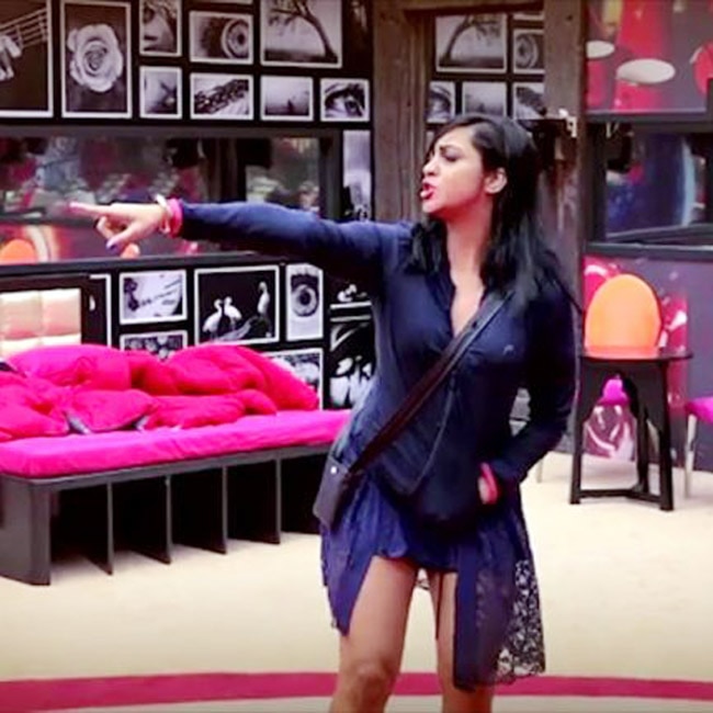 PHOTOS: Bigg Boss 14 contestant Arshi Khan's glamorous photo