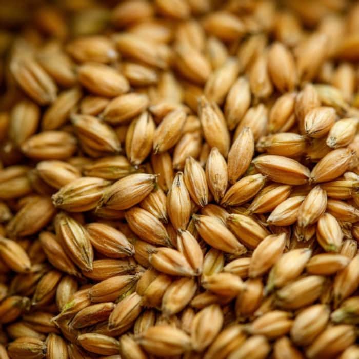 7 low-GI grains for a healthy alternative for Indian meals
