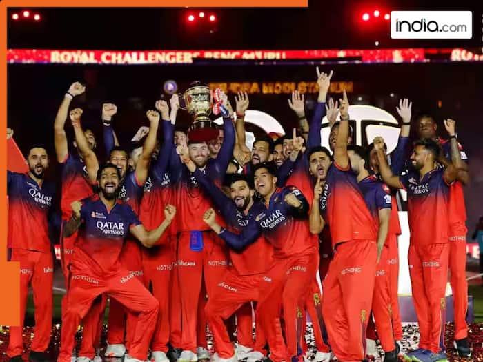 BCCI earned over Rs 200000000000 from IPL 2025, biggest source of ...