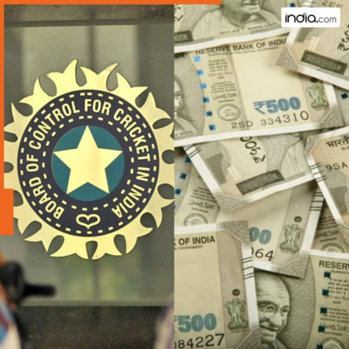 BCCI hit JACKPOT despite Dream11 exit, earn huge amount of money through...