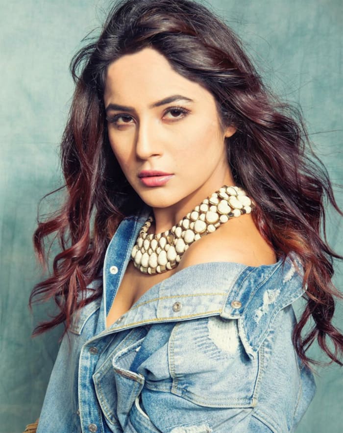 Shenaaz Gill Latest Photoshoot Goes Viral