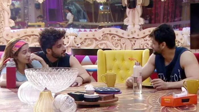 Bigg Boss 16, Day 11, Biggest Highlight: Shalin Bhanot Wants to Date Tina Datta, Breaks Silence ...