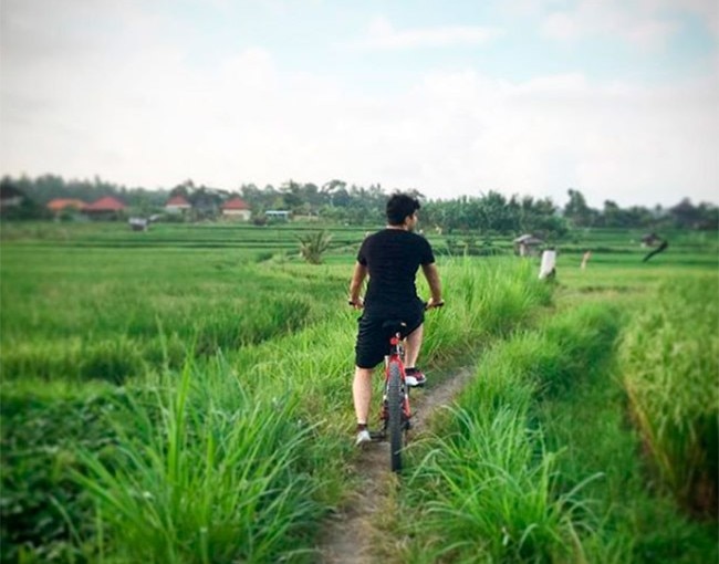 Bike Around The Rice Fields
