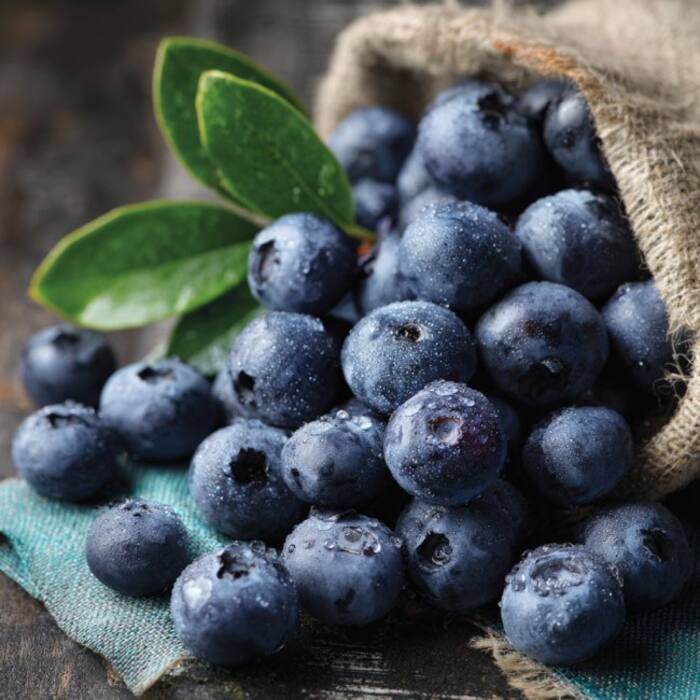 8 healthy and nutritious foods to boost memory and concentration before ...