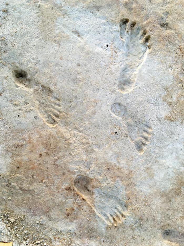 US: Ancient footprints re-write humanity's history in the Americas