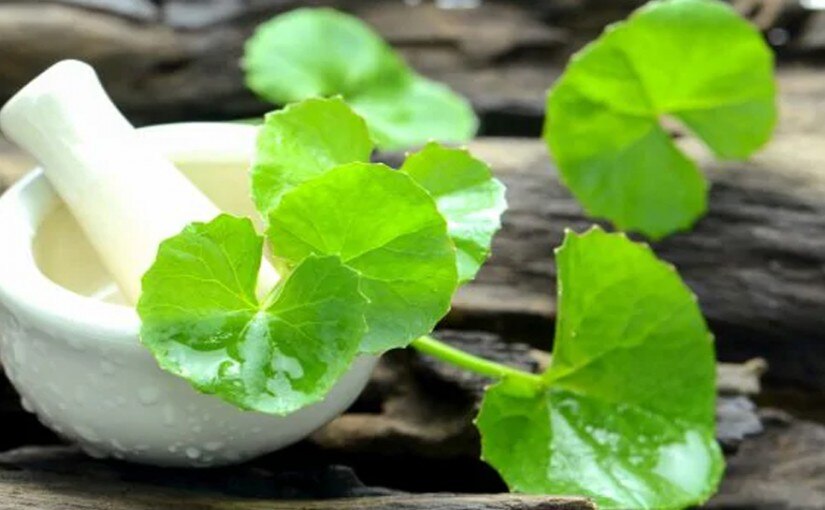 Brahmi