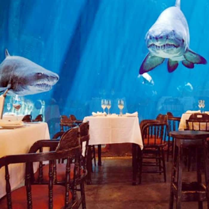 6 underwater restaurants you can experience submersed dining across ...