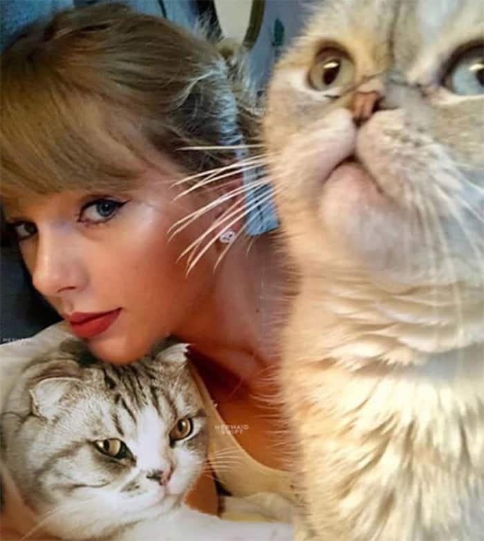 International Cat Day: Celebs who love their Furry Friends