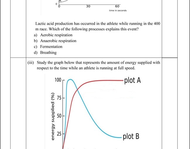 CBSE Board Class 10 Science Sample Paper: Learn the smarter way