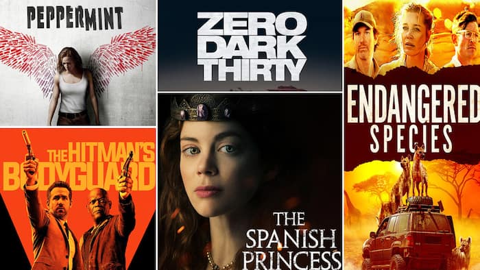 10 Movies on Lionsgate Play That Will Help You Take Some Stress Away ...